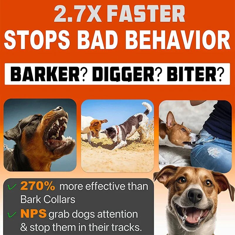 Your One Stop Shop For All Pet Supplies | Pet Stop Solutions